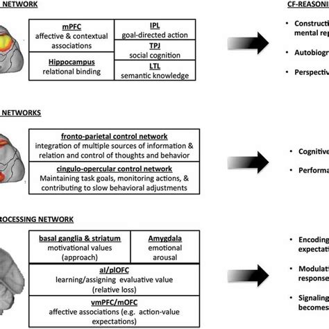 Cognitive Neuroscience Of Human Counterfactual Reasoning Request Pdf