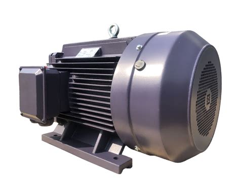 China Customized Three Phase Asynchronous Induction Motors Manufacturers Suppliers Factory