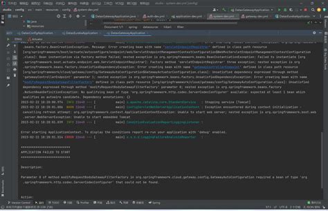 Master的网关启动报错 · Issue 388 · Alldatacenteralldata · Github