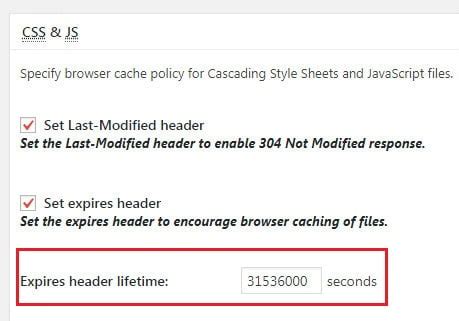 Best Wordpress Speed Optimization Tips [speed Up Wordpress]