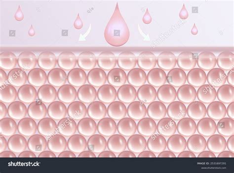 Skin Microstructure Layers Cell Structure Layers Stock Illustration 2531697291 Shutterstock
