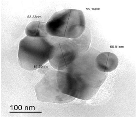 Nanoparticles Prepared Using Algae Extract Were