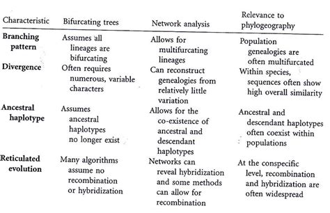 Complex Population Networks Patterns