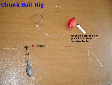Float Rig Question Striped Bass Fishing Forums Forum