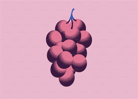 분홍색 배경에 포도 한 송이 벡터 Unsplash의 그림 이미지