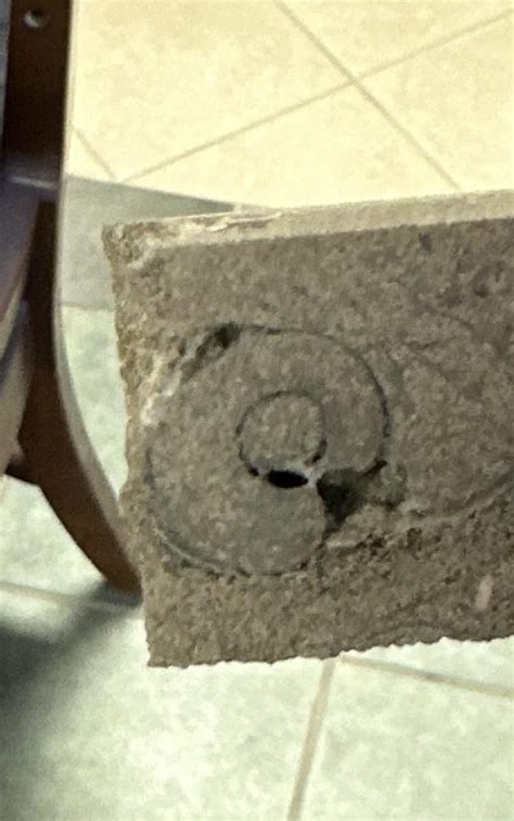 Limestone Fossil R Fossilid