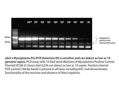 Mycoplasma Pro Pcr Detection Kit Applied Biological Materials Inc