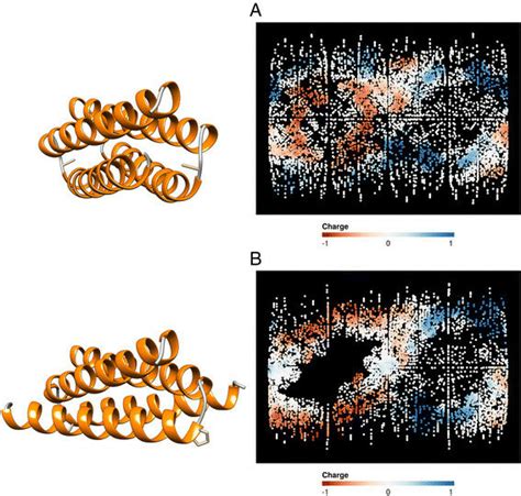 Three And Two Dimensional Depiction Of The Native Rop Structure A