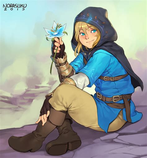 Link The Legend Of Zelda And More Drawn By Norasuko Danbooru