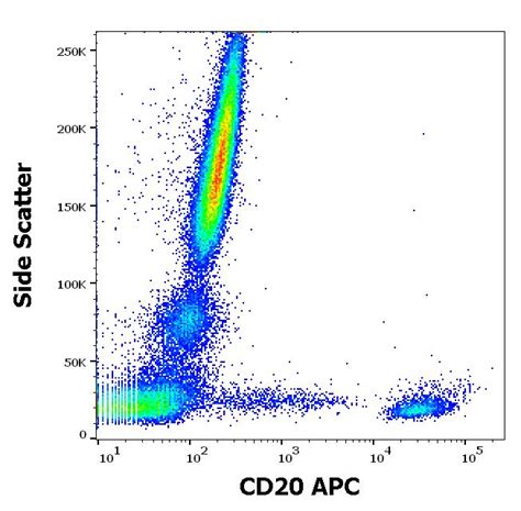 Singleflowex Cd20 Apc Exbio Antibodies