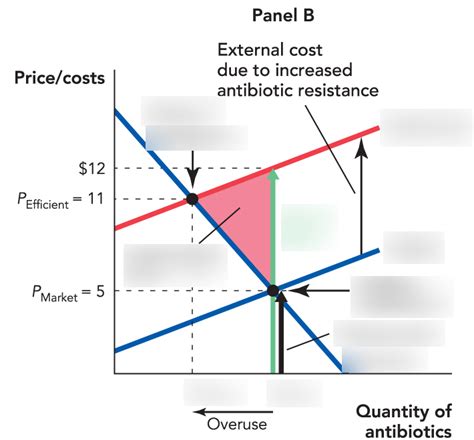 Negative Externalities Diagram Quizlet