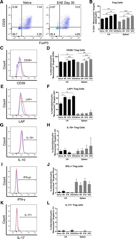 Peripheral Treg Cell Phenotyping Over The Course Of Chronic Eae Shown Download Scientific