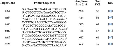 Primer And Amplicon Features Of Pcr Assays Used For Tet Gene Download Scientific Diagram