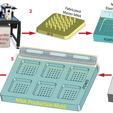 Dissolving Microneedle Array Manufacturing Strategy Via Micromolding Download Scientific