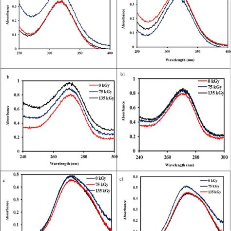The Absorption Spectra Of A A1 Tinidazole B B1 Ciprofloxacin And Download Scientific