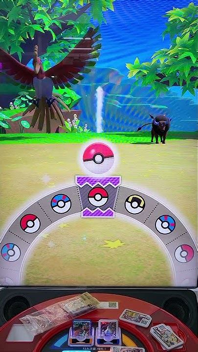 포켓몬 가오레 전설 칠색조 획득 몬스터볼로 성공 Youtube