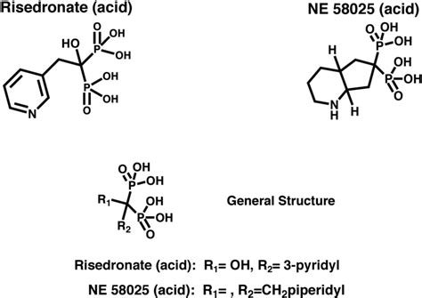 Chemical Structure For Risedronate And Ne‐58025 The General Structure Download Scientific