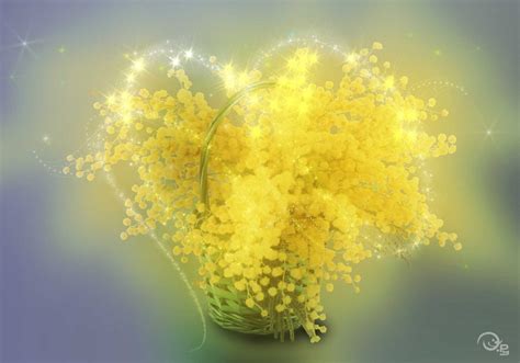 8 Марта Мимозы Картинки — Фото Картинки