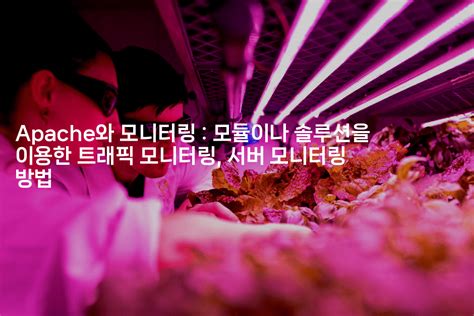 apache와 모니터링 모듈이나 솔루션을 이용한 트래픽 모니터링 서버 모니터링 방법 코드꼬마