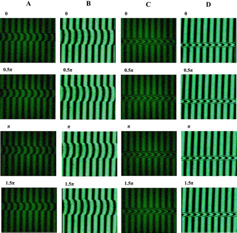 Realistic Interference Fringe Patterns Of Ipp Fibres With Extra Phase
