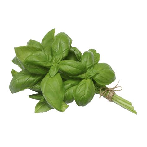 Edible Garden Organic Basil 1 Pack H Mart