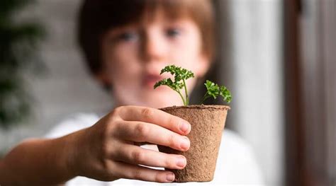 Huertos Urbanos Cómo Plantar En Un Espacio Pequeño