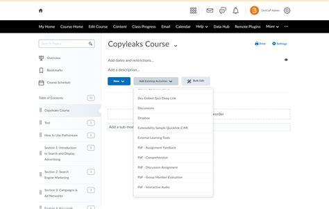 D2l Brightspace Instructor Lti Version 11 Copyleaks