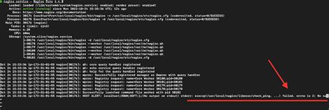 Nagios Core Beginners Guide For