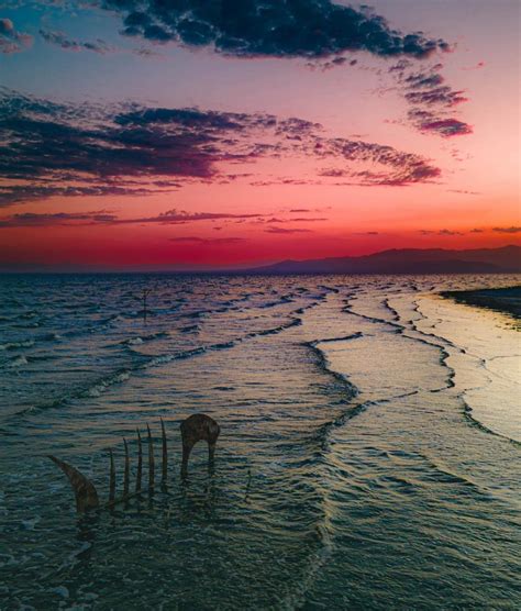 Todays Salton Sea Todays California Photo By Pjla Facebook