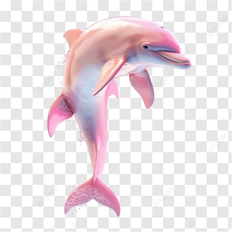 입을 벌리고 공중으로 점프하는 돌고래 생성 Ai 돌고래 점프 공중에 입을 벌리다 Png 일러스트 및 이미지 에 대한 무료