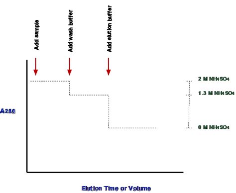 On Each Graph Below Draw The Elution Profile You