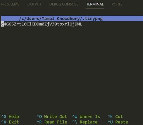 How To Use Tinypng Api And Cli To Compress Images On Your Computer