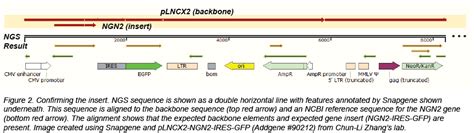 Plasmids 101 In House Ngs Plasmid Quality Control Now At Addgene