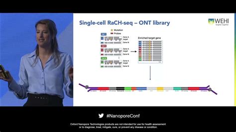 Single Cell Long Read Rna Sequencing Reveals Complex Heterogeneity In
