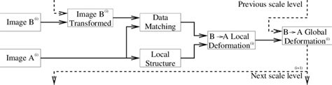 Algorithm Pipeline For Pyramidal Level I Download Scientific Diagram