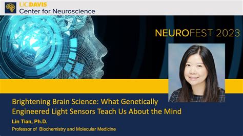 Lin Tian Ph D — What Genetically Engineered Light Sensors Teach Us About The Mind Youtube