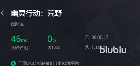 为什么幽灵行动荒野进不去 幽灵行动荒野游戏用什么加速器好 Biubiu加速器