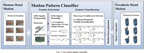 Figure 1 From A Novel Emg Motion Pattern Classifier Based On Wavelet
