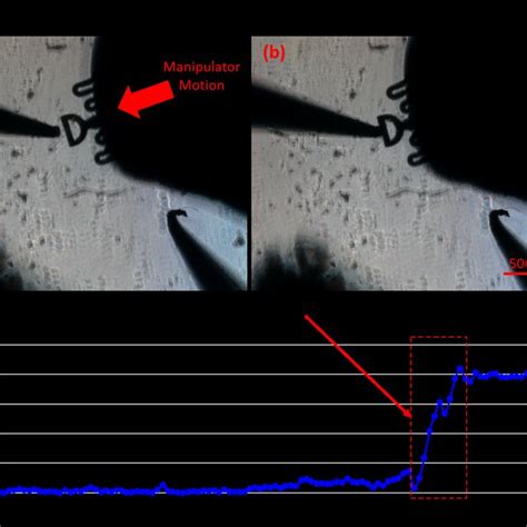 Summary Of Automated Contact Detection Algorithm A The Force