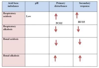 Solved 10 The Following Table Gives The Common Acid Base Chegg Com