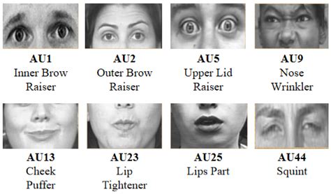 Facial Expression Recognition A Survey