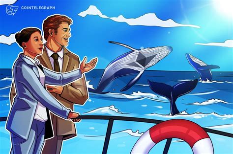 104 Whale Wallets Now Hold 57 Of All Ether In Bullish Sign Santiment