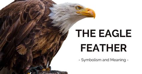 Understanding The Eagle Feather Meaning