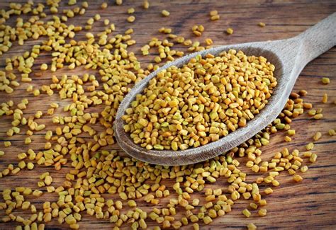 Feno Grego O Que é Benefícios E Como Tomar Ser Saúde Diário Do