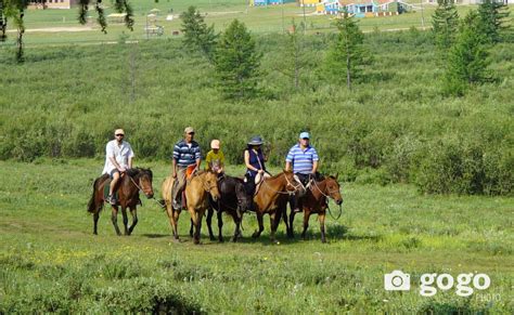 Хангайн бүсэд аялал жуулчлалыг төрөлжүүлэн хөгжүүлэхээр тогтлоо