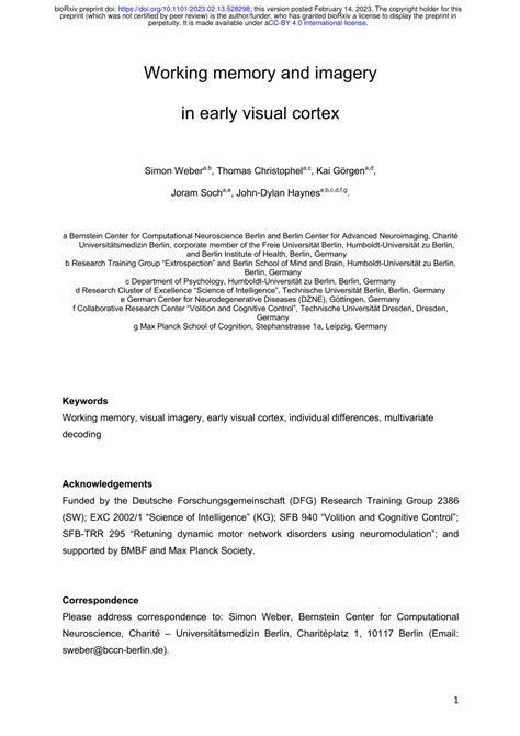 Pdf Working Memory And Imagery In Early Visual Cortex