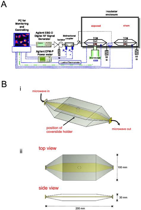 An Imaging Based System For Screening The Cellular Effect Of RF Fields Download Scientific