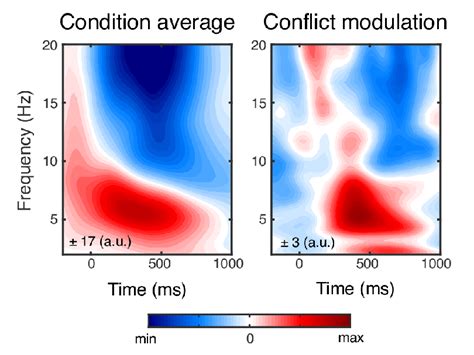 Average Midfrontal Component Time Frequency Decompositions Appear