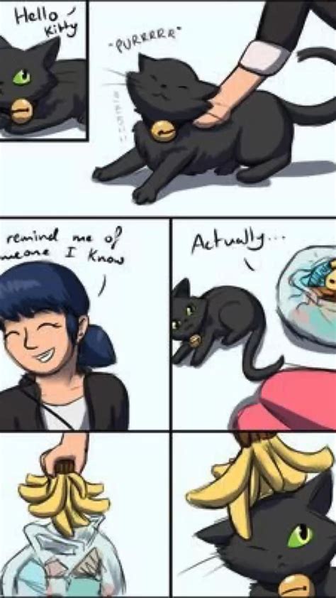 Miraculous Ladybug And Chat Noir Picture Artofit