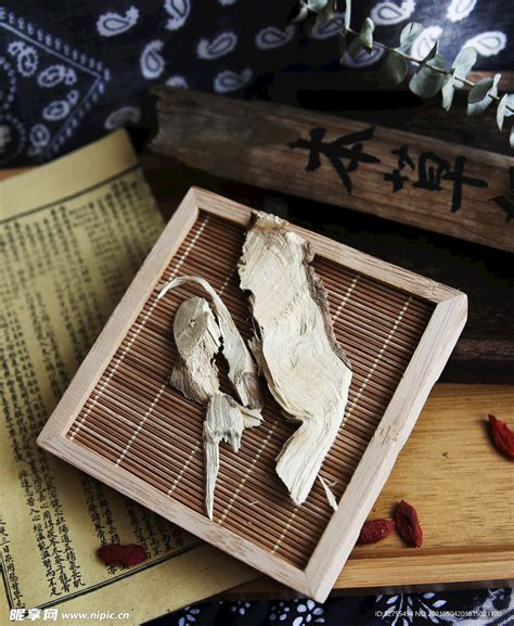 臭梧桐根摄影图 医疗护理 现代科技 摄影图库 昵图网